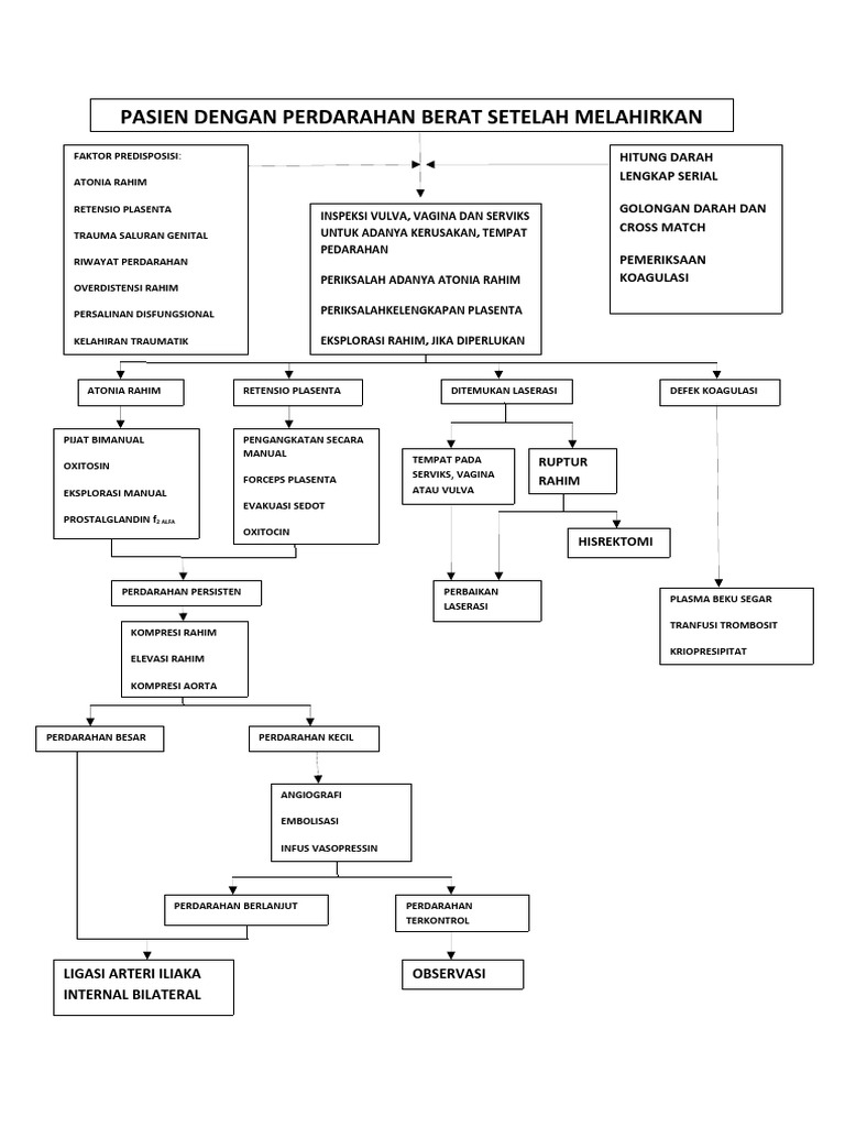 1.2. Skema Perdarahan Pasca Persalinan Dr. Gunawan-1 | PDF
