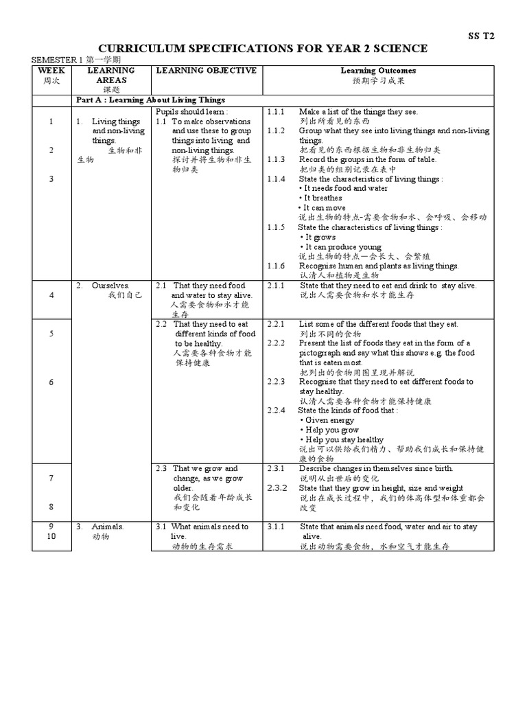 Yr2 Science Specification 2004-Sjkc | PDF | Plants | Foods