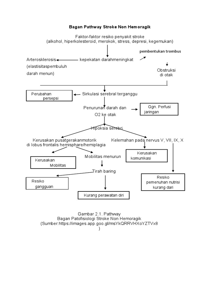 Bagan Pathway Stroke Non Hemoragik | PDF