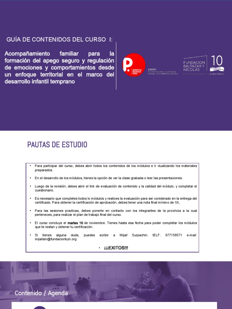 Curso I Asincrónico Resumido - Guía de Contenidos 2021 | PDF