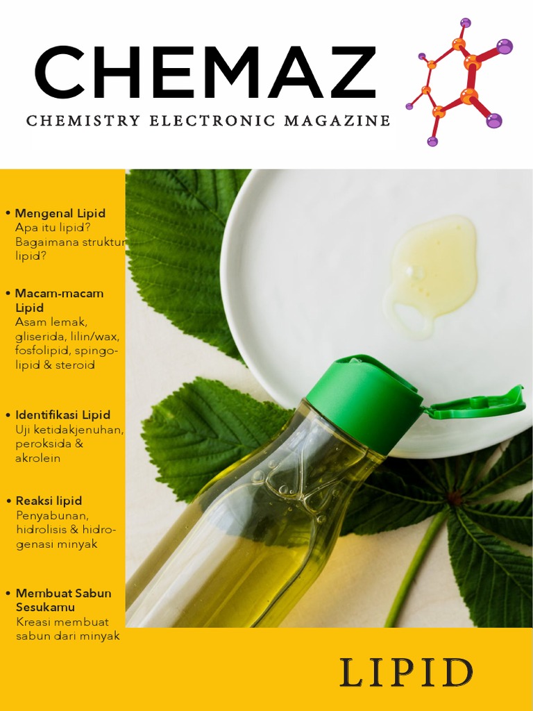 Mengenal Jenis dan Fungsi Lipid | PDF