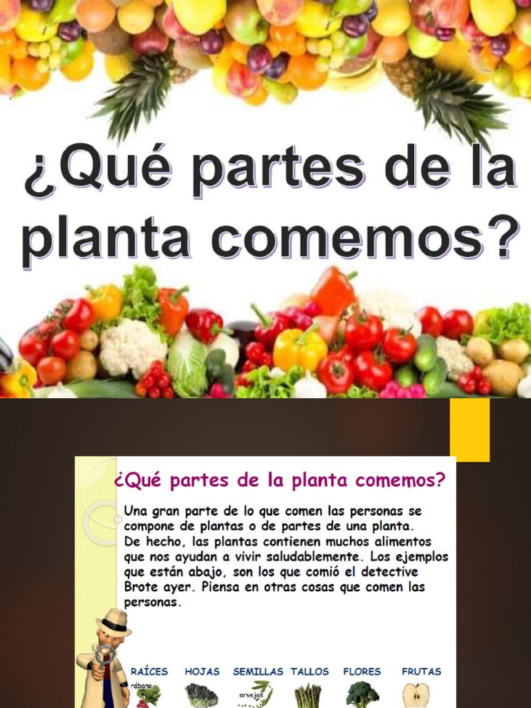 Partes de Las Plantas Que Comemos | PDF
