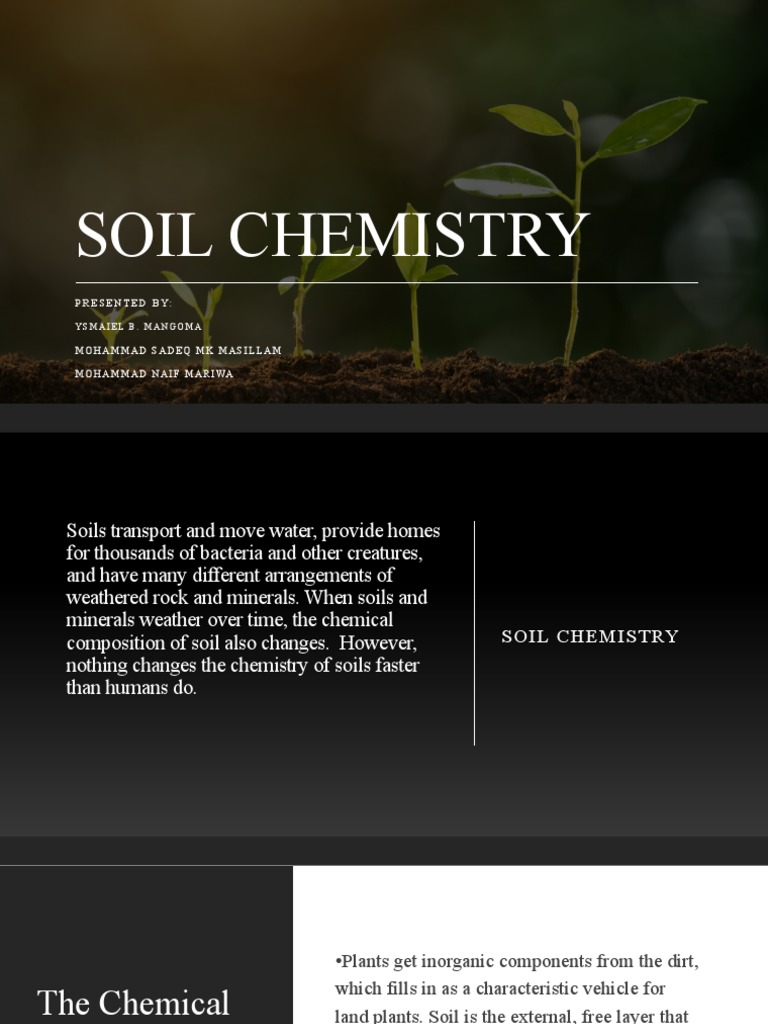 Soil Chemistry: Presented by | PDF | Soil | Pollution