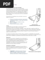 Proceso de Stieda y su tratamiento | PDF | Tobillo | Cirugía