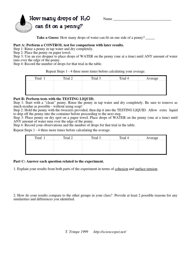 Penny Lab | PDF | Properties Of Water | Experiment