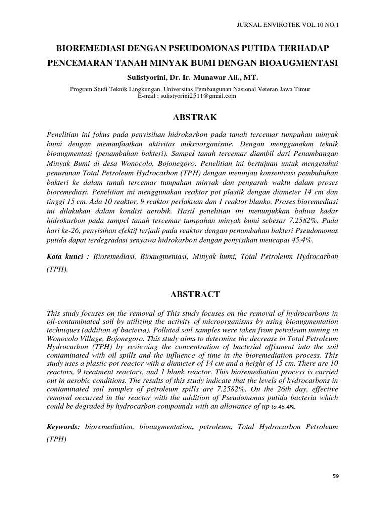 Bioremediasi Tanah Tercemar Minyak Bumi dengan Bioaugmentasi ...
