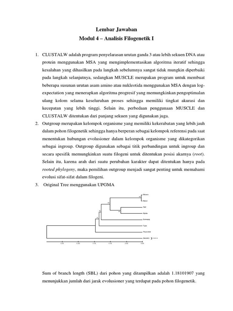 Bioinformatika 4 Pdf