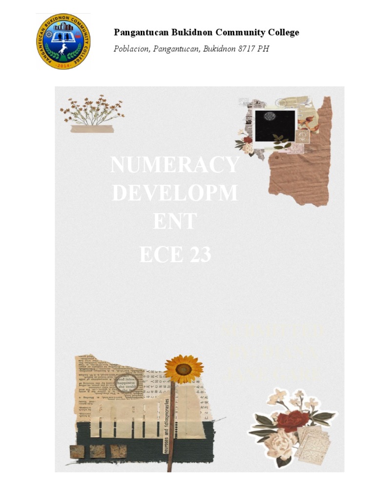 Numeracy Developm ENT ECE 23: Submitted By: Diana Jane Gare | PDF ...
