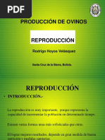 Reproducción de Ovinos y Caprinos | PDF | Reproducción sexual | Zoología