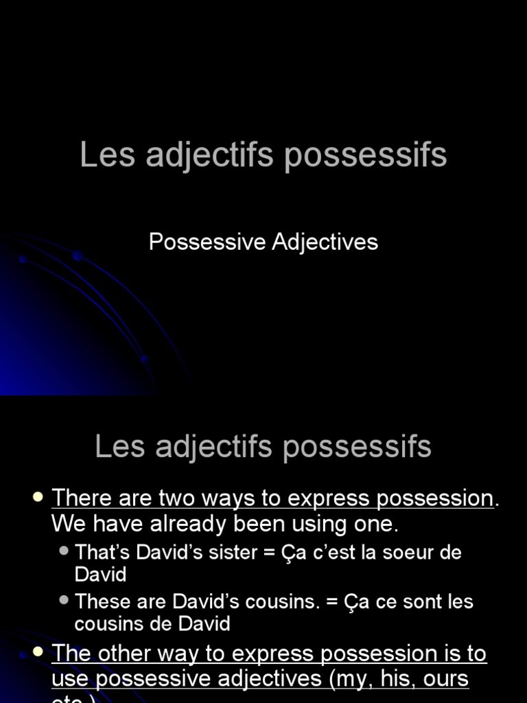 Les Adjectifs Possessifs | PDF | Grammatical Gender | Plural