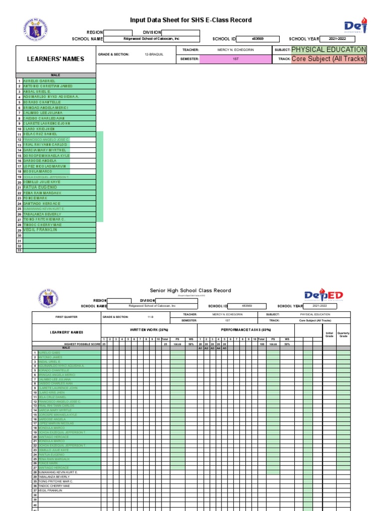 Input Data Sheet For SHS E-Class Record: Learners' Names | PDF