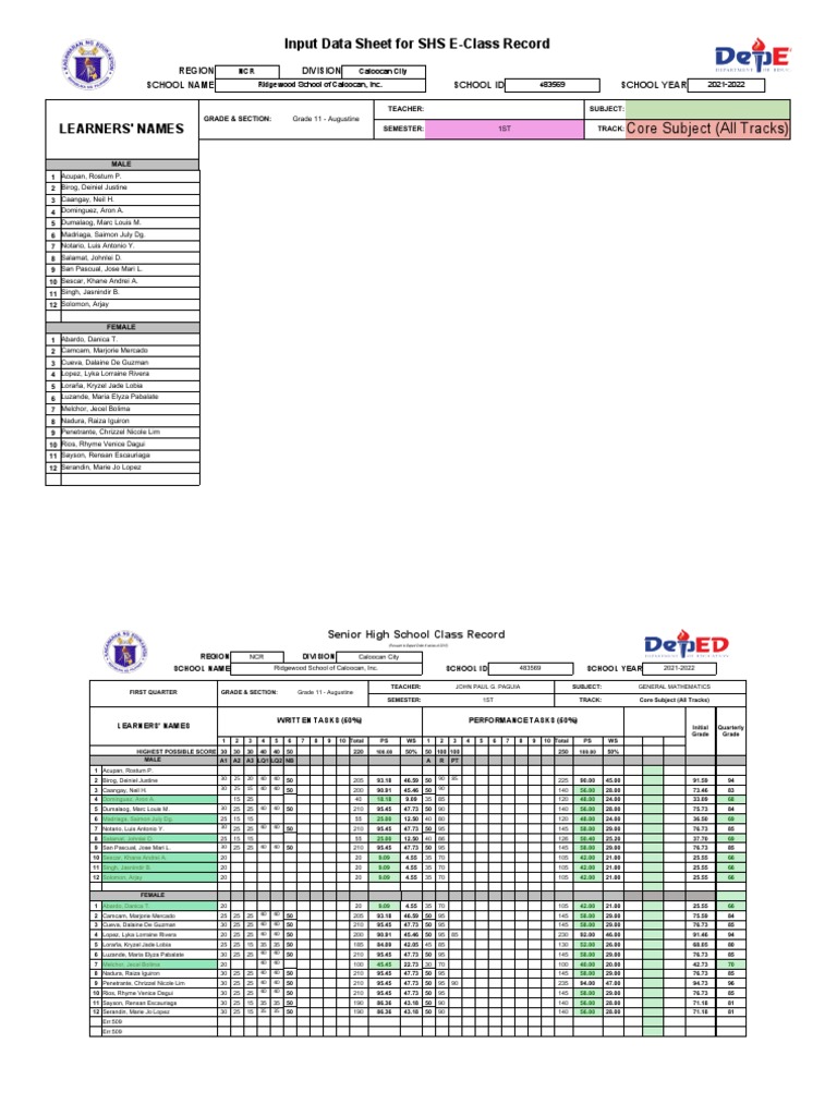 Input Data Sheet For SHS E-Class Record: Learners' Names | PDF