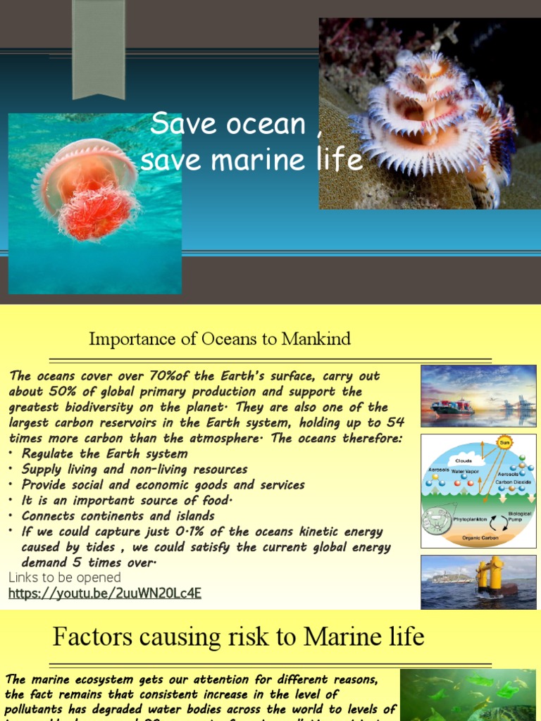 Save Ocean, Save Marine Life | PDF | Pollution | Oceans