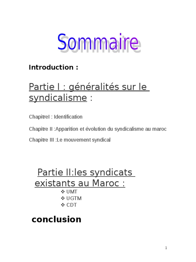 Synicat | PDF | Syndicat | Syndicalisme