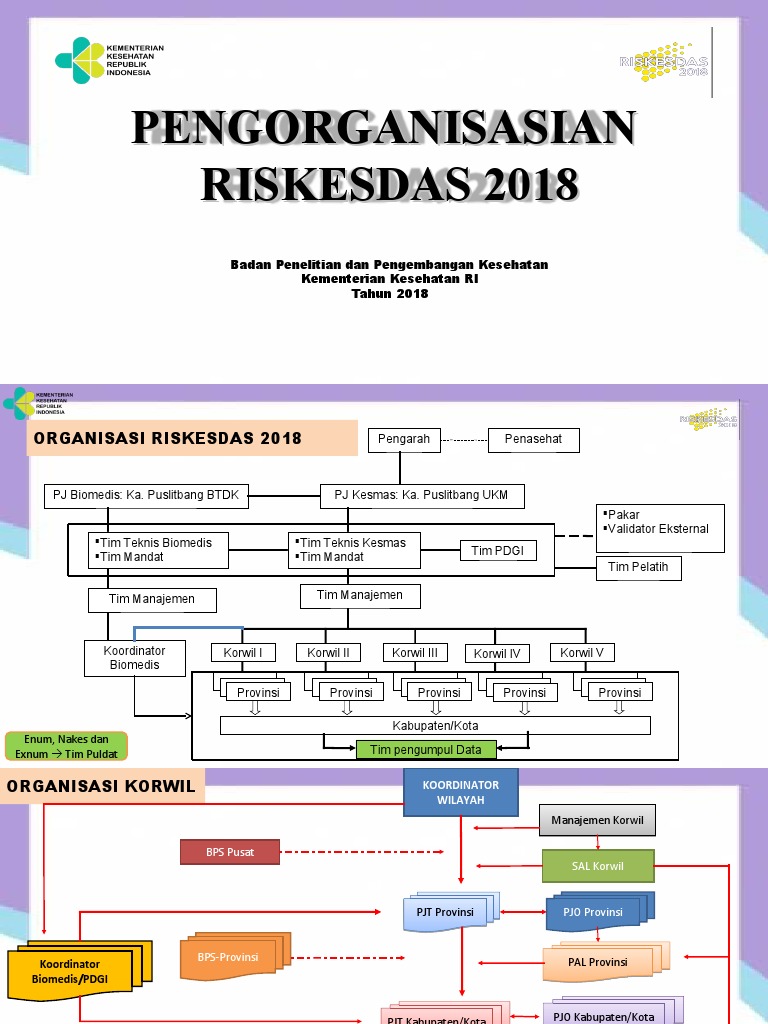 Struktur Organisasi Riskesdas 2018 | PDF | Kesehatan Holistik