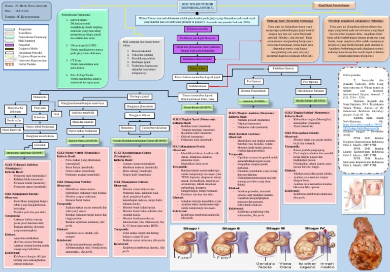 Ni Made Nova Ariyanti (18215154) - WOC Tumor Wilms | PDF