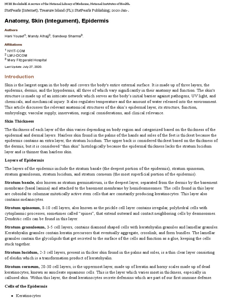 Anatomy, Skin (Integument), Epidermis - StatPearls - NCBI Bookshelf ...