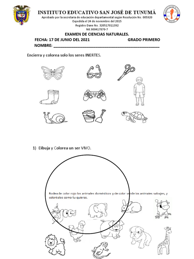 Examen de Ciencias Naturales Grado Primero | PDF | Ciencia y matemáticas