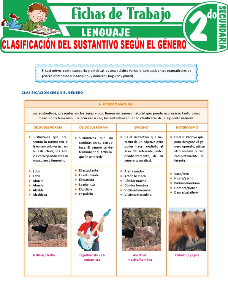 Clasificacion Del Sustantivo Según El Género | PDF | Género gramatical ...