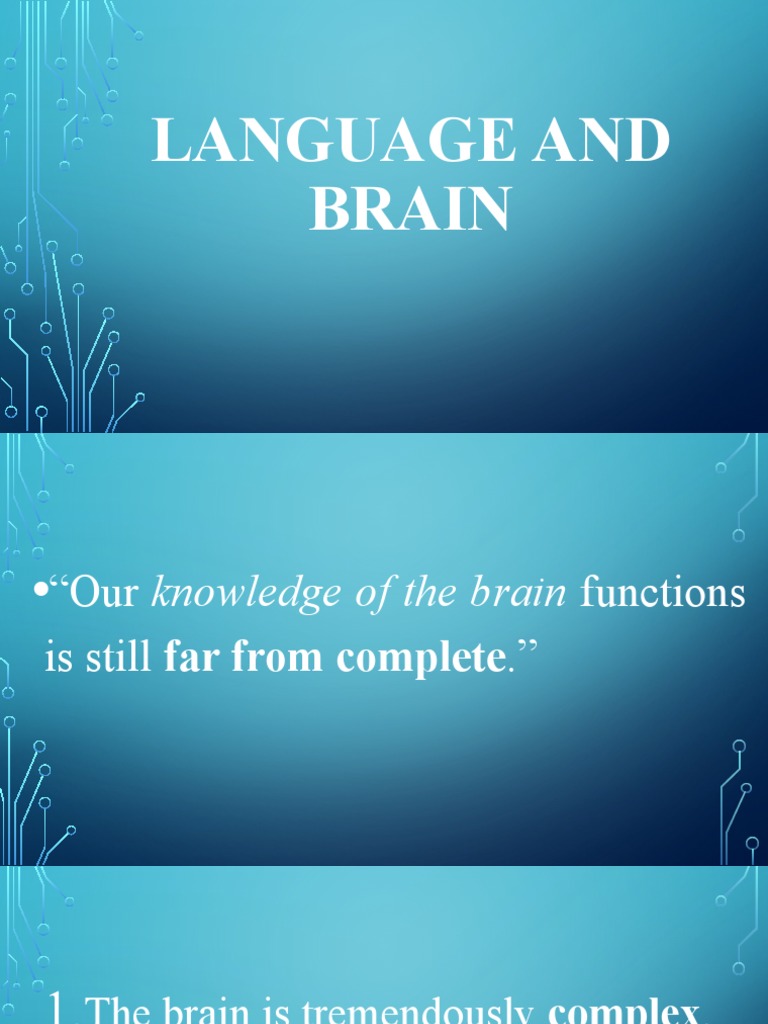 Language and Brain | PDF
