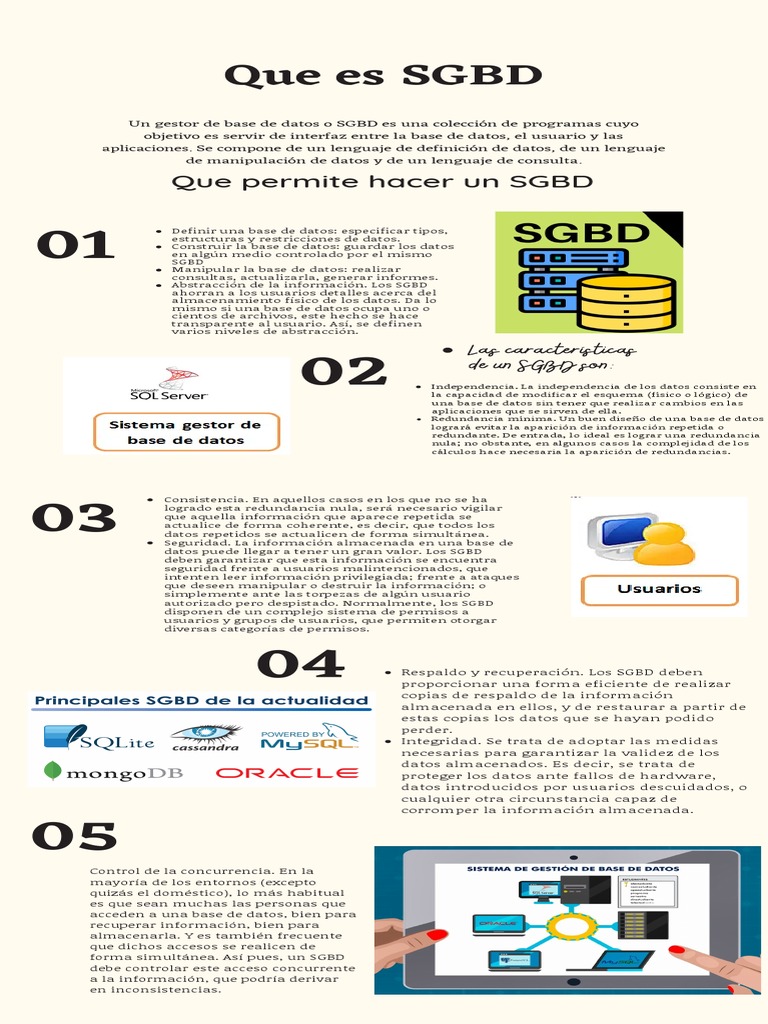 Infografia SGBD | PDF | Bases de datos | Lenguaje de programación