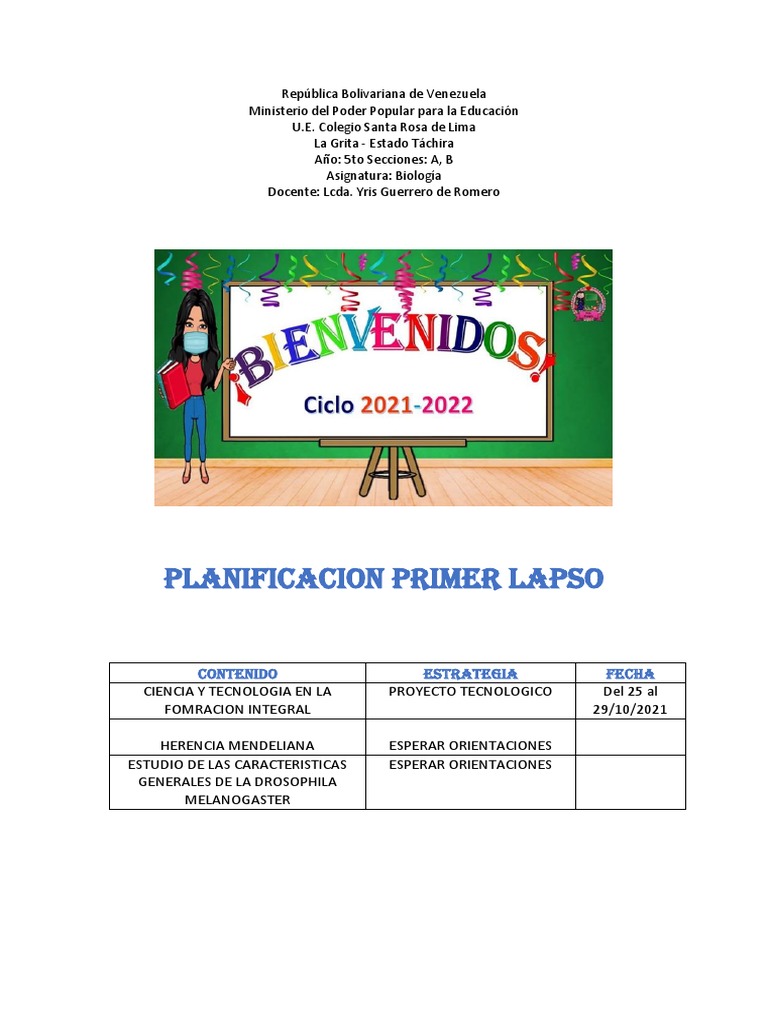 I Guia Pedagogica 5to Año | PDF | Diseño | Planificación