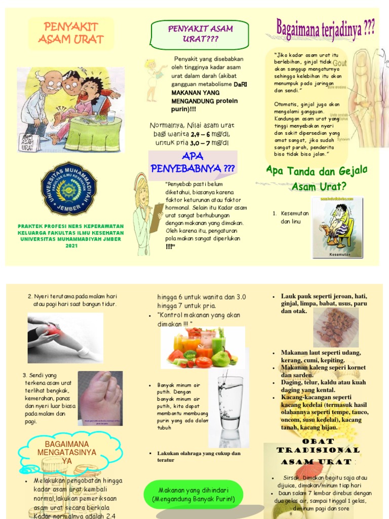 Leaflet Asam Urat | PDF