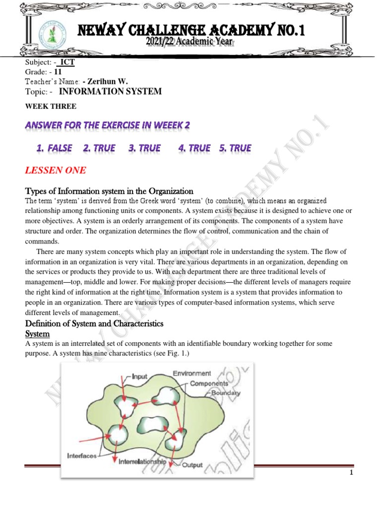 Grade 11 ICT: Information Systems Overview | PDF | System | Information