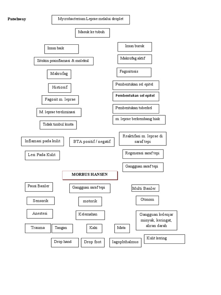 Pathway Kusta New | PDF
