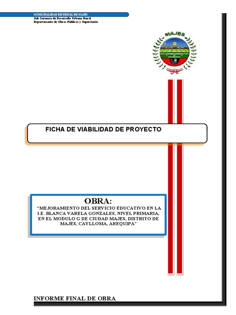 Separadores. Inf FINAL VARELA Avancedocx | PDF
