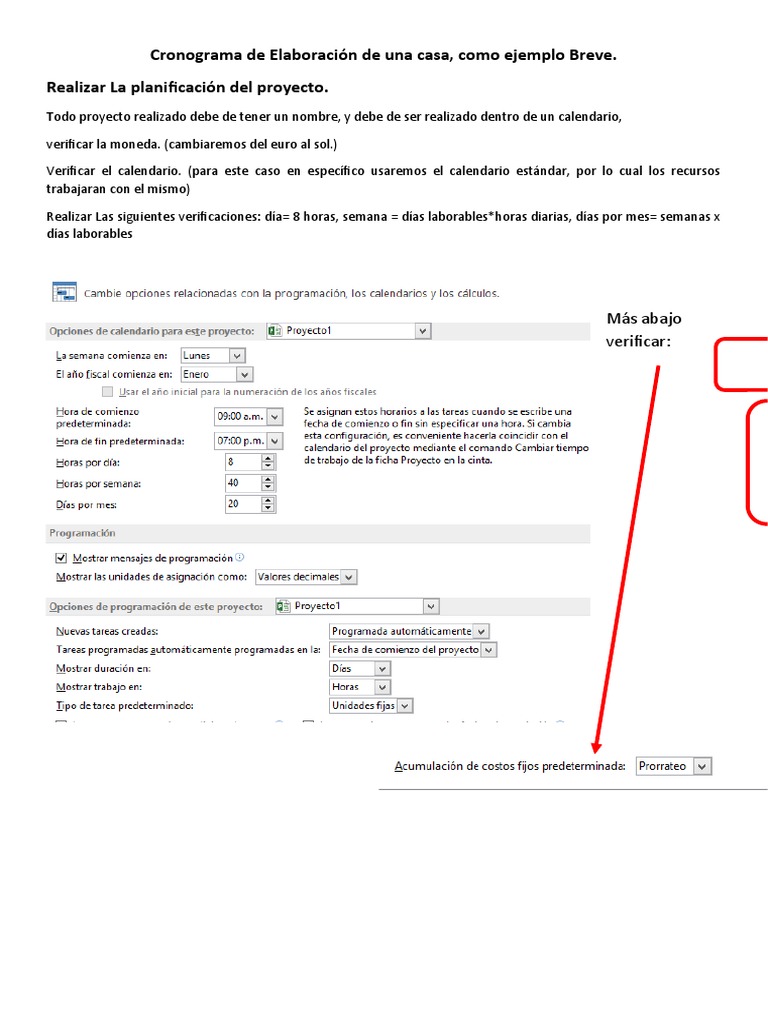 Ms Proyect Manual de Gestion de Proyecto | PDF