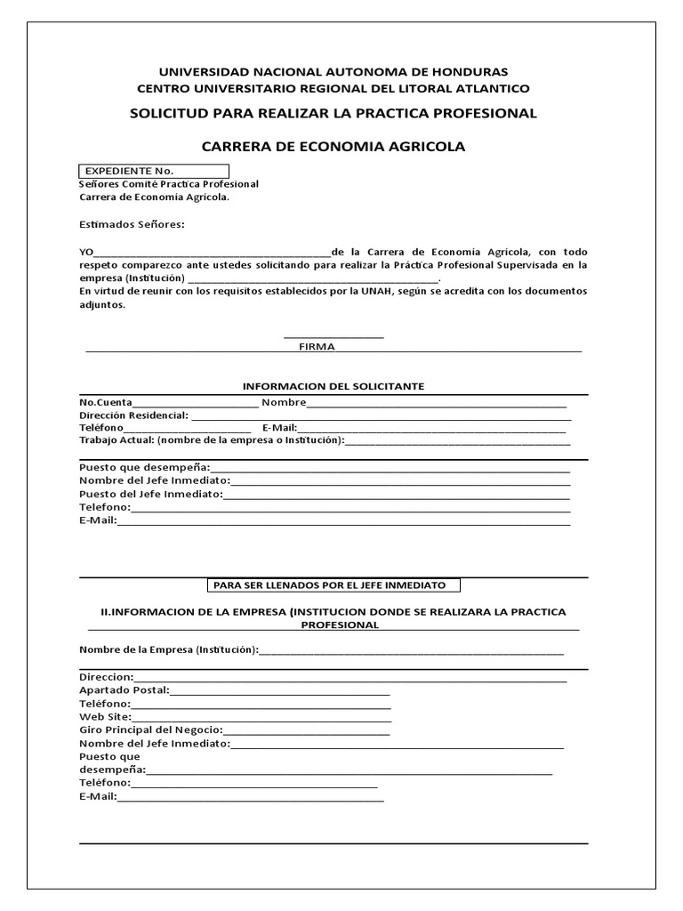 Solicitud de Practica Profesional 2 | PDF