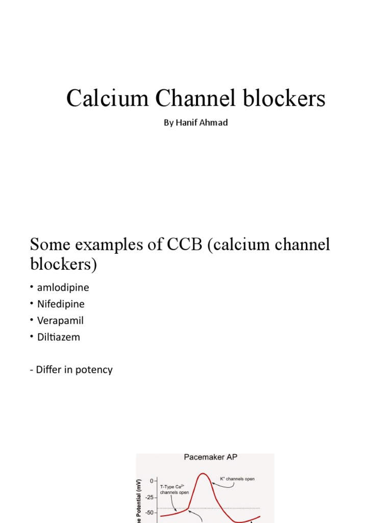 Calcium Channel Blockers Powerpoint | PDF | Cooking, Food & Wine