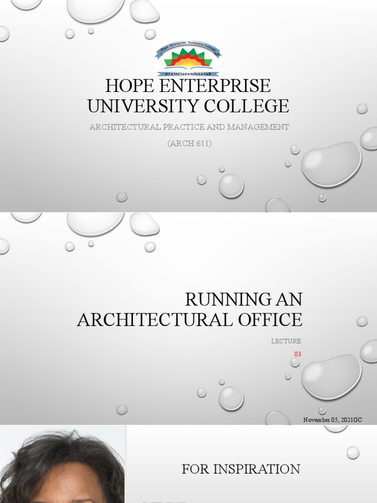 Rahel Shawl: Architect & Mentor in Ethiopia | PDF | Stocks | Dividend