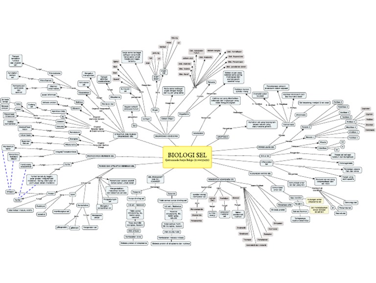 Mind Map DK1 Biologi Sel Qatrunnada Surya Balqis 2106653432 | PDF