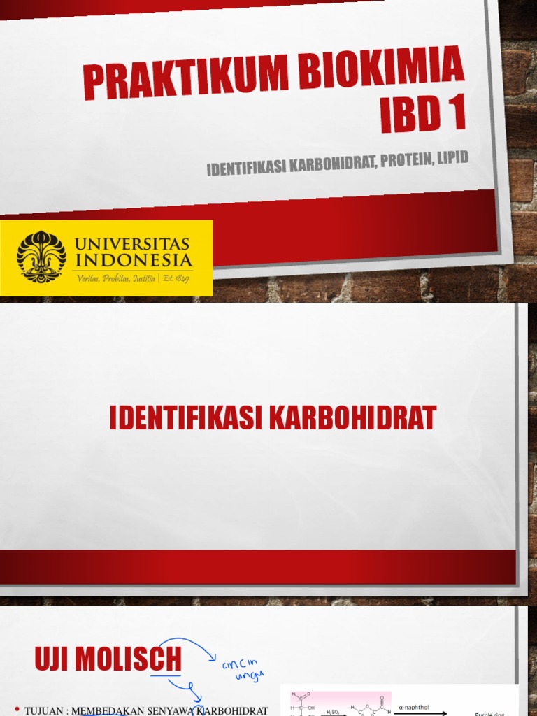 Praktikum Biokimia Ibd 1-2021 | PDF