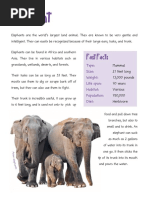 Elephant | PDF