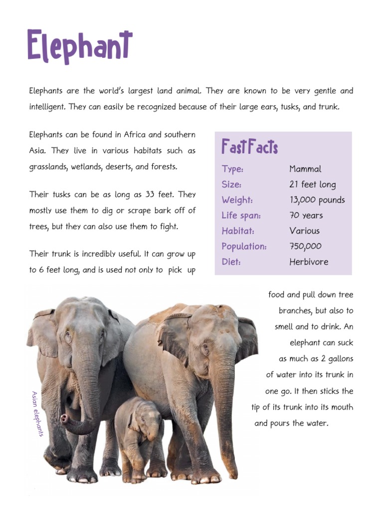 Elephant: Fast Facts | PDF | Elephant | Mammals
