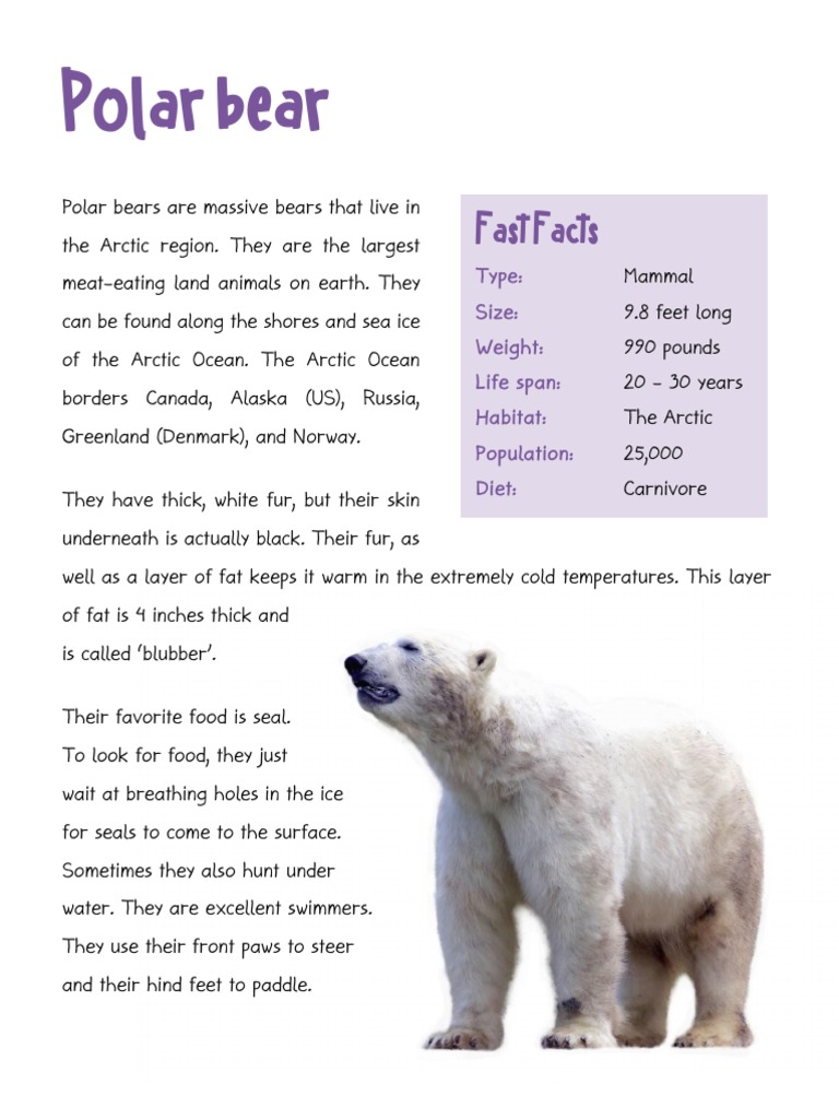 Polar Bear: Fast Facts | PDF | Polar Bear | Bears