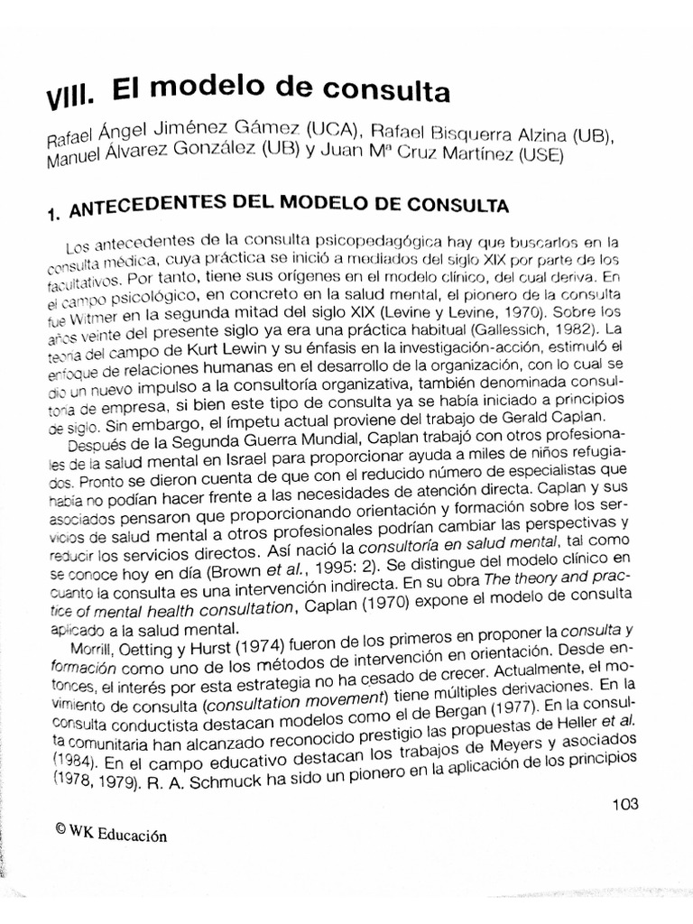 006-El Modelo de Consulta | PDF