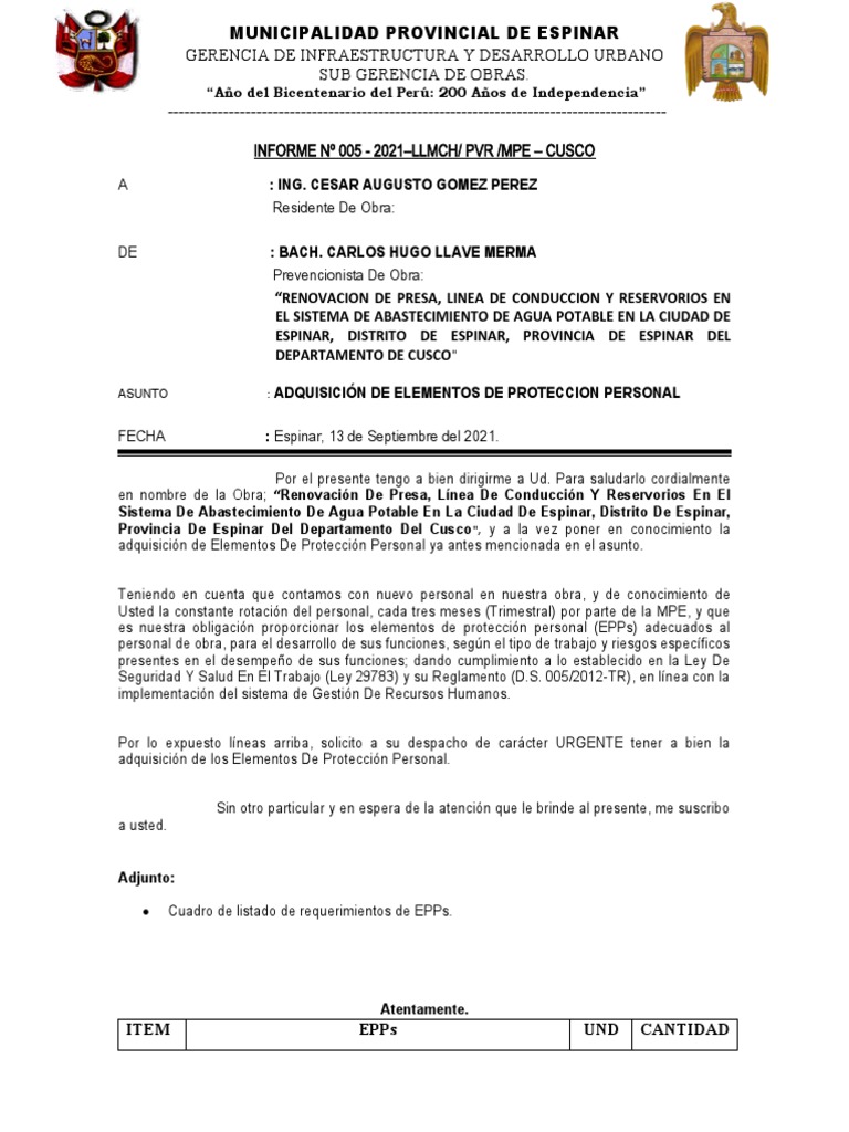 EPPs Requerimiento | PDF