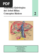 Incisión Rocky Davis | PDF | Medicina CLINICA | Anatomía