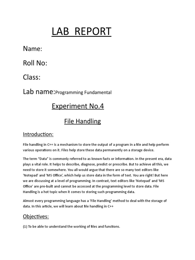 PF Lab Report 3 | PDF | Computer File | Filename