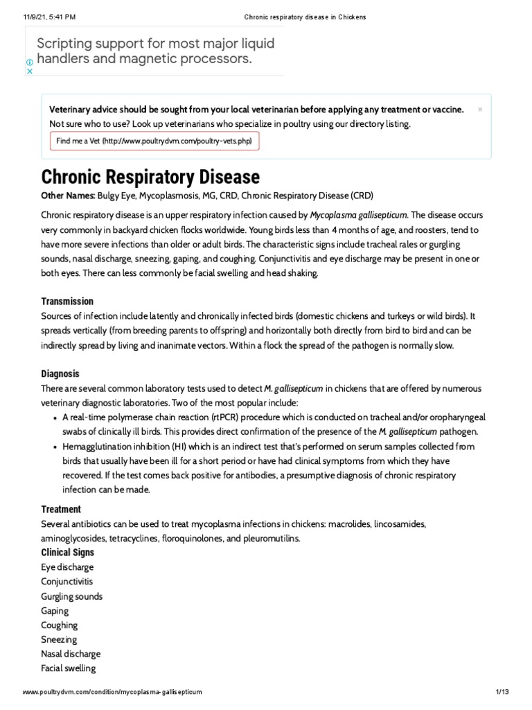 Chronic Respiratory Disease in Chickens | PDF | Clinical Medicine ...