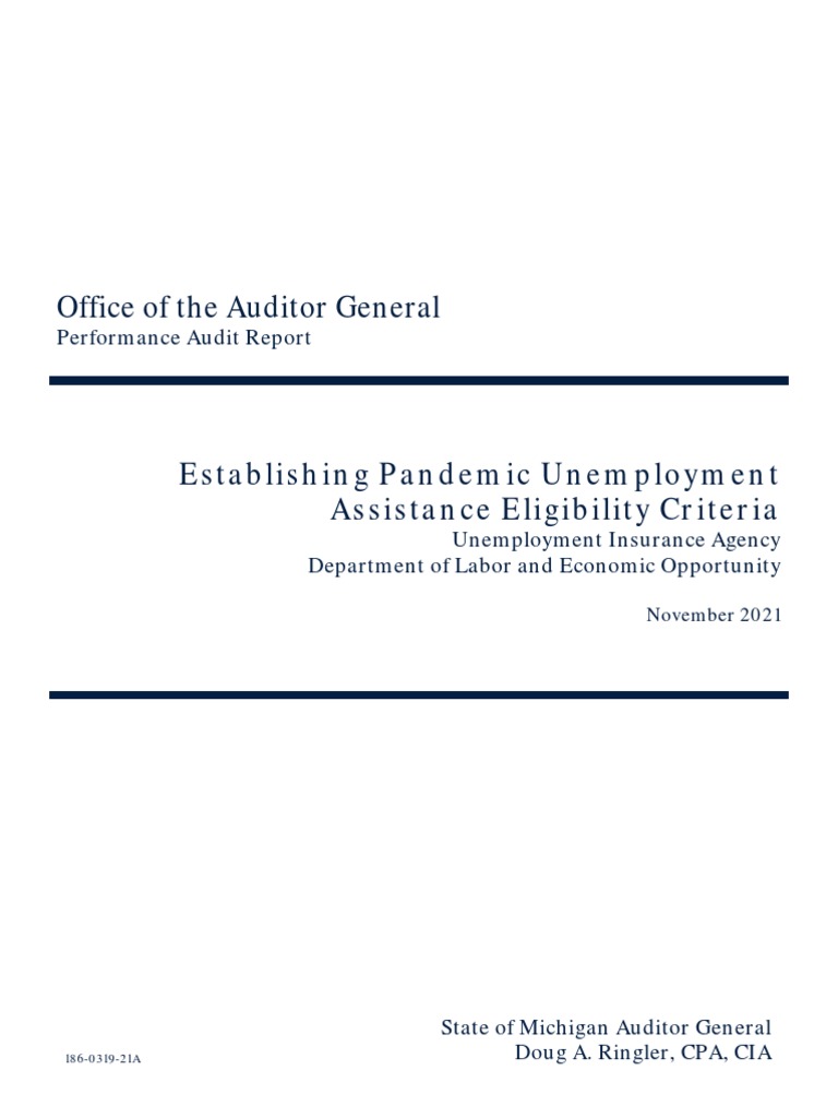 Auditor General Report | PDF | Unemployment Benefits | Audit