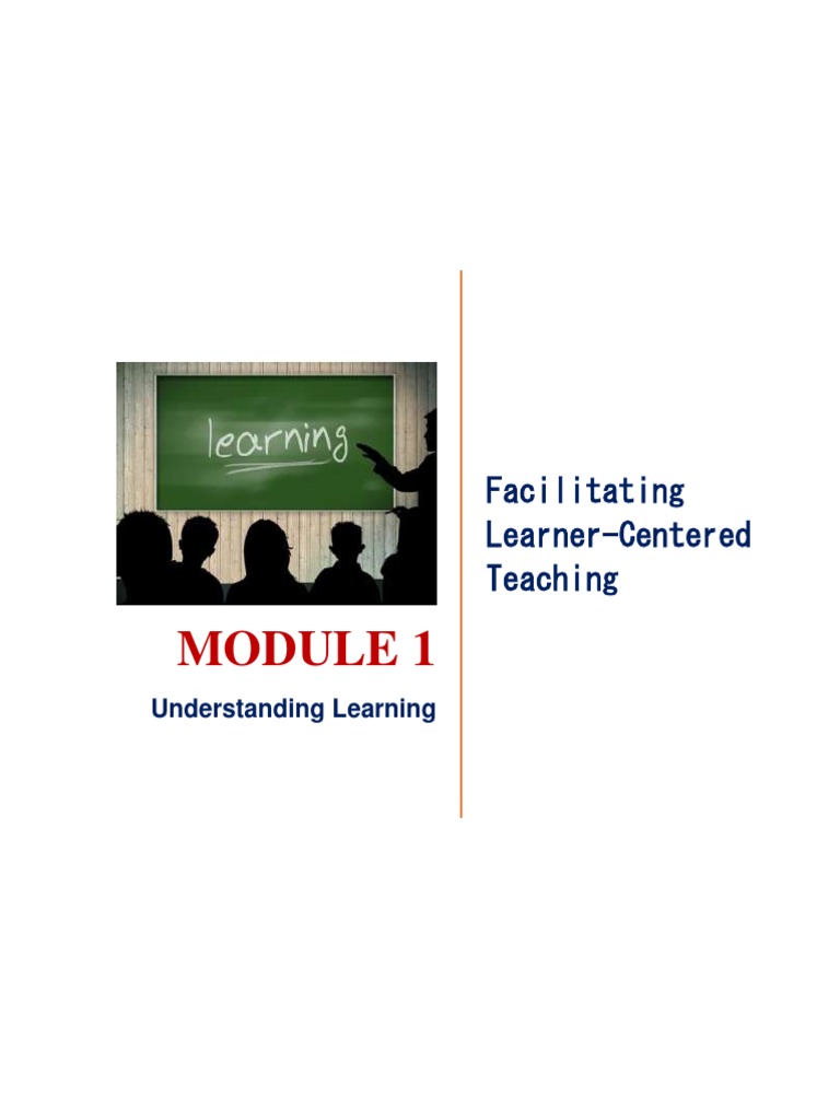 Facilitating Learner-Centered Teaching: Understanding Learning | PDF ...