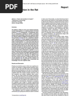 CyberRat Lab: Behavioral Analysis Guide | PDF | Reinforcement | Behaviorism