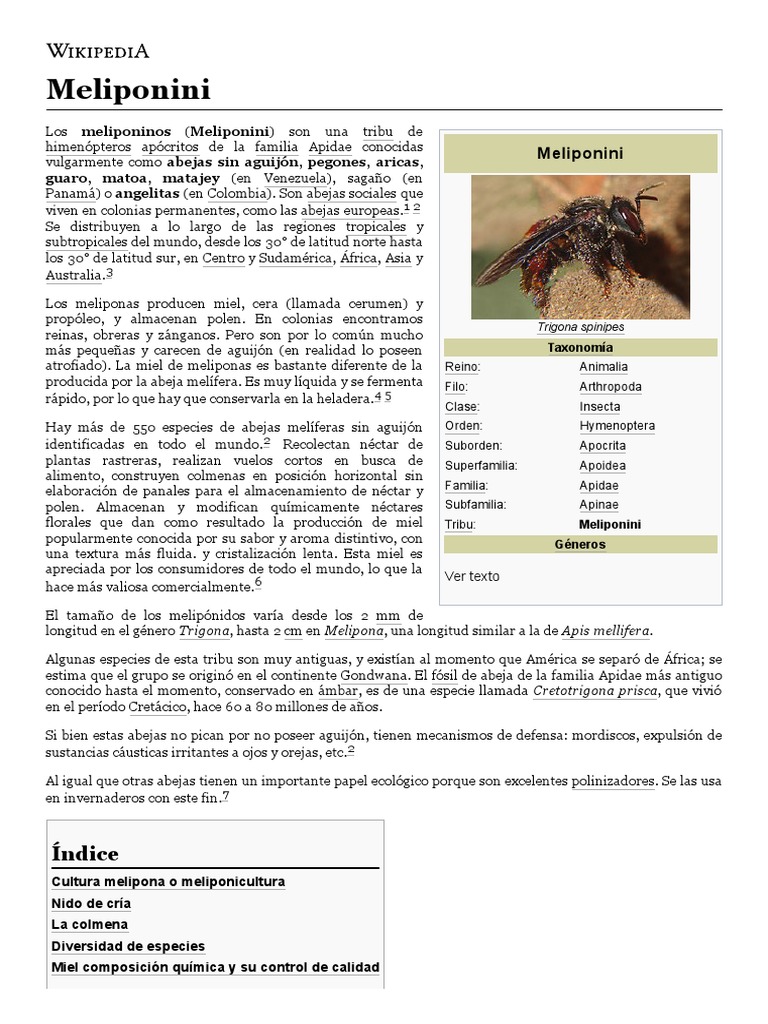 Meliponini | PDF | Abejas