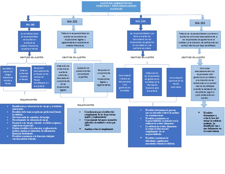 Mapa Conceptual Auditoria Administrativa | PDF | Auditoría | Contralor