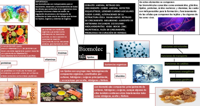 Biomoleculas - Sustancias Organicas | PDF | Biomoléculas | Proteínas